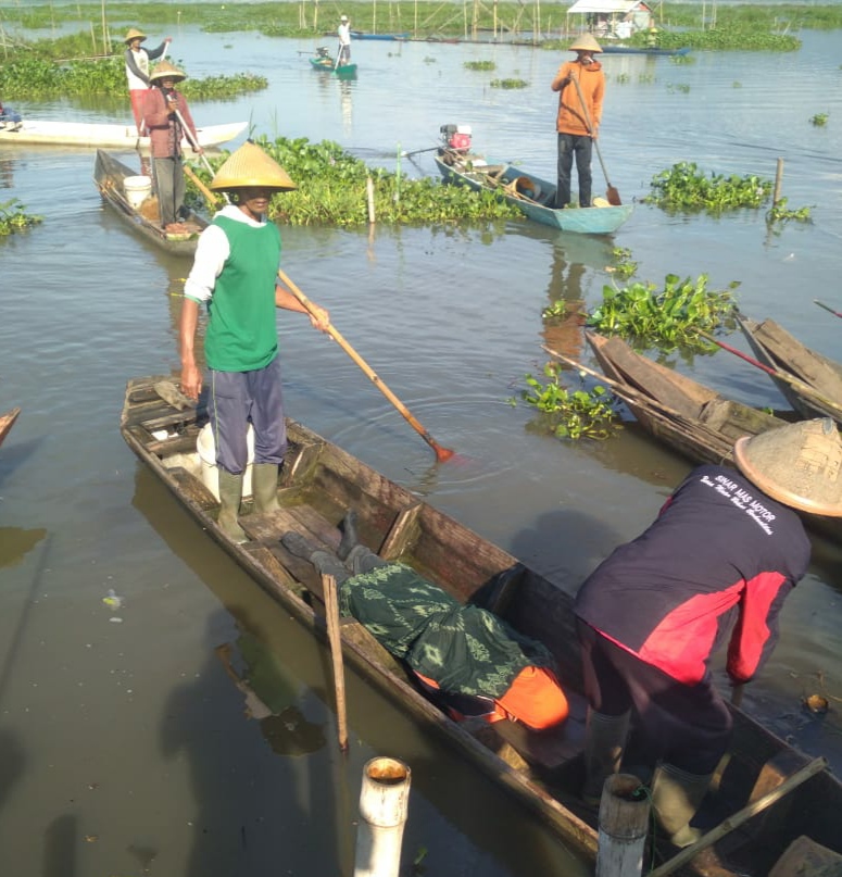 Perahu Terbalik, Nelayan Rawa Pening Ditemukan Tewas Tenggelam ...